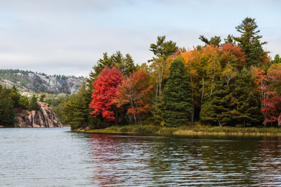 Things to Do in Branson This Fall